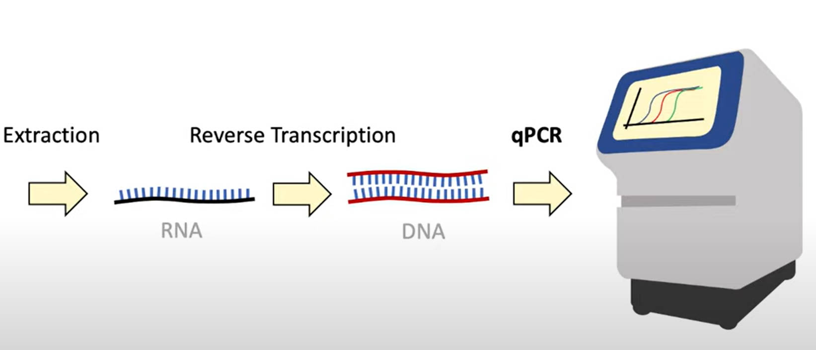 qPCR - 凰年