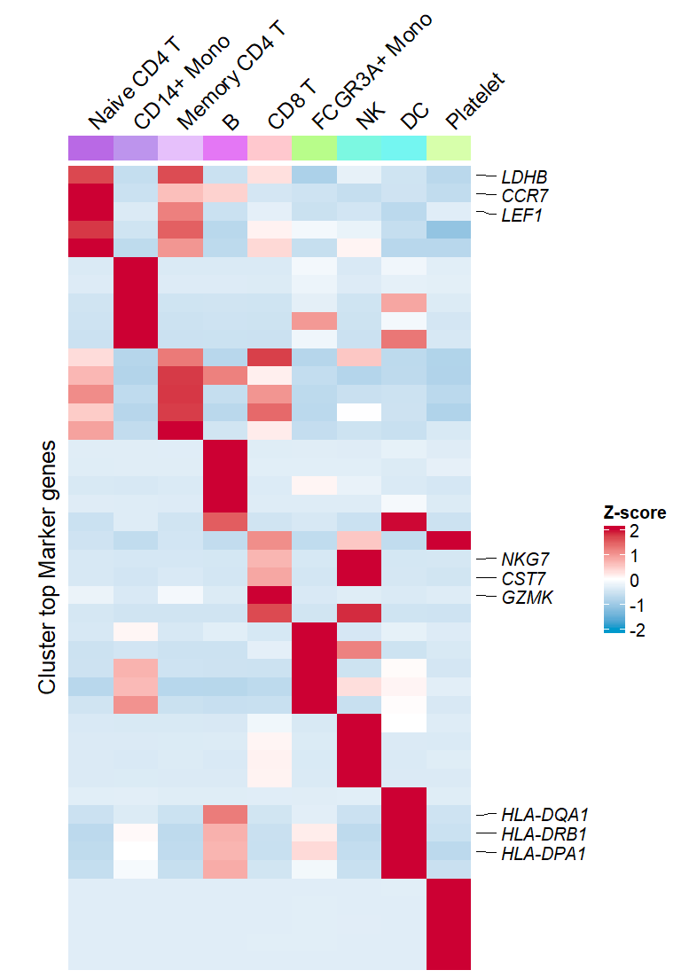 scRNAtoolVis_单细胞数据美化 - 凰年